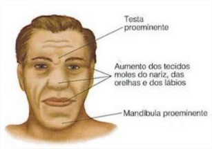 Facies – Medicina Cardiometabólica