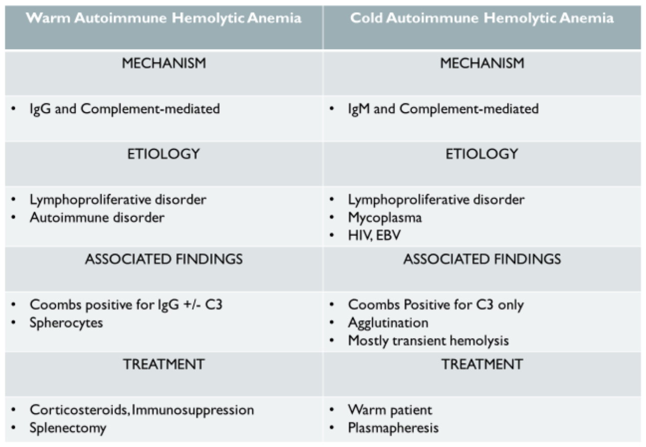 Anemia hemolítica – Anticuerpos frios y calientes – Medicina ...