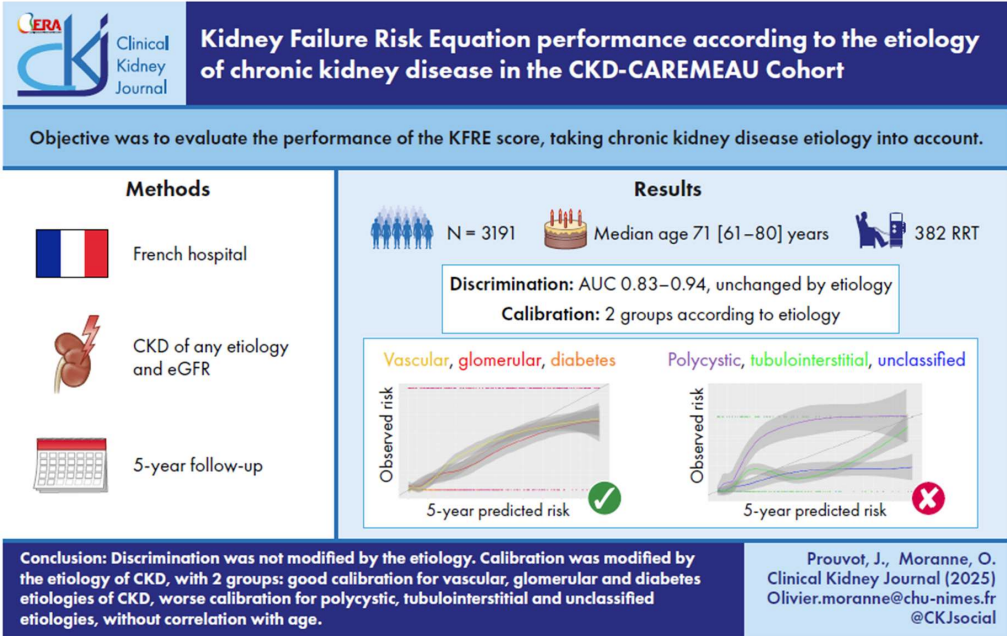 📊 Evaluación del Kidney Failure Risk Equation (KFRE) según la etiología ...