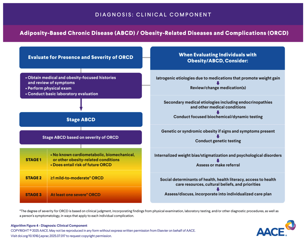 Concenso AACE 2025 para el manejo de la obesidad/ABCD – Medicina ...