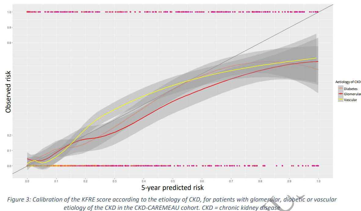 📊 Evaluación del Kidney Failure Risk Equation (KFRE) según la etiología ...